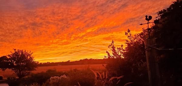 Journeys in Self-Compassion